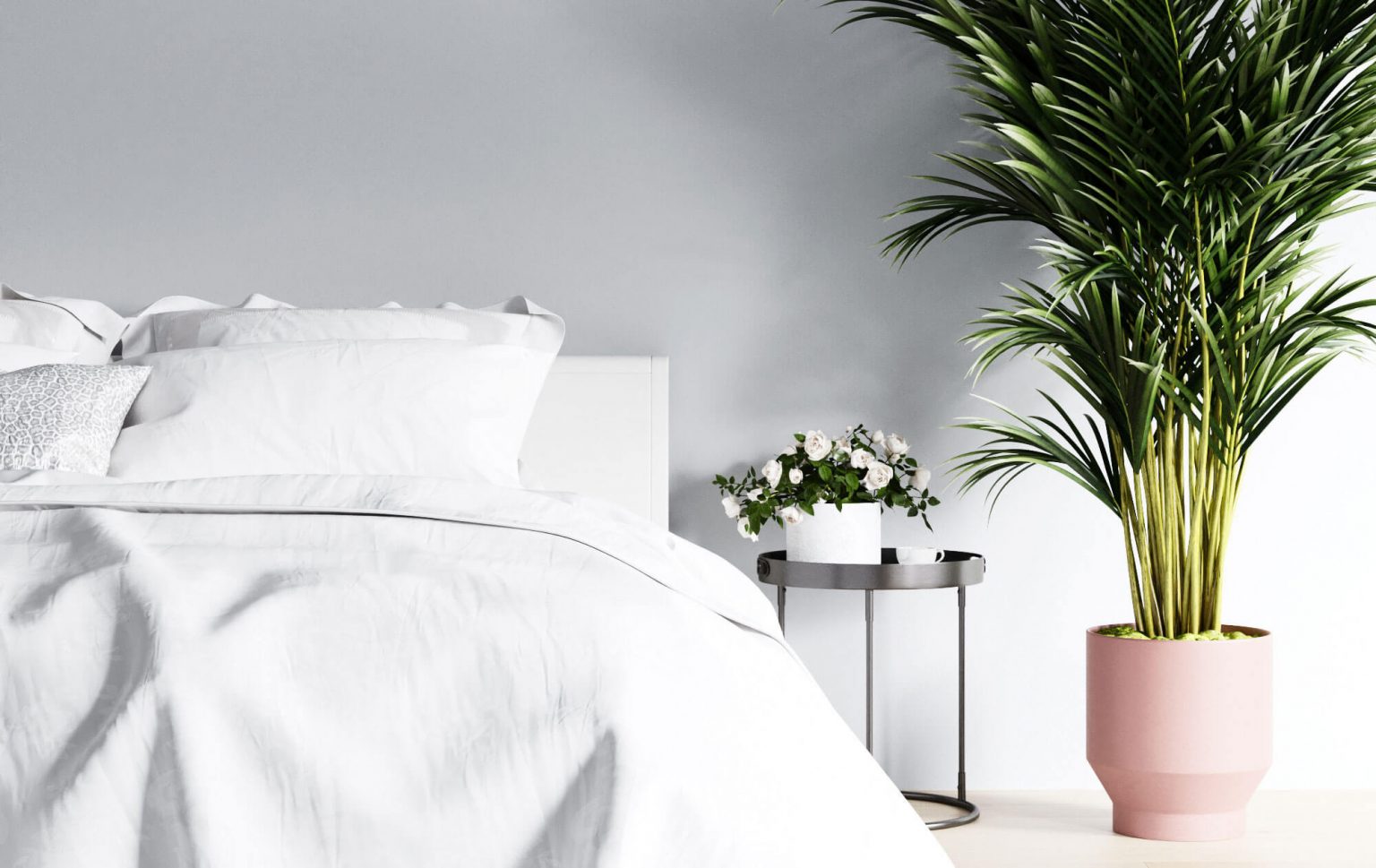 The Mattress People – The Mattress People offers the widest range of ...